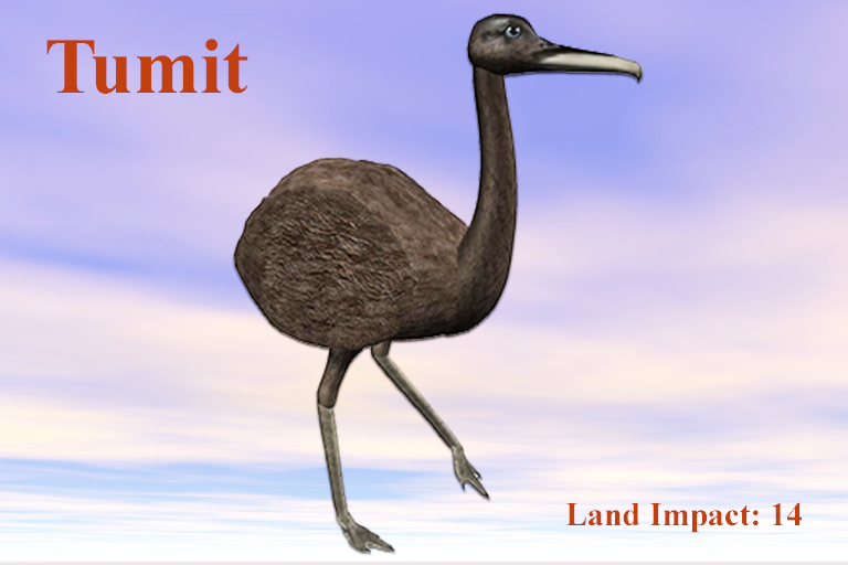 Black Rose Gorean Display Animals | My Black Rose